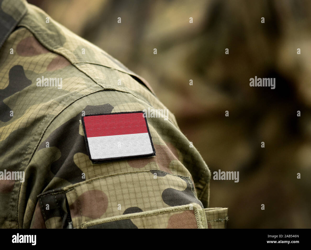 Military flag hi-res stock photography and images - Alamy