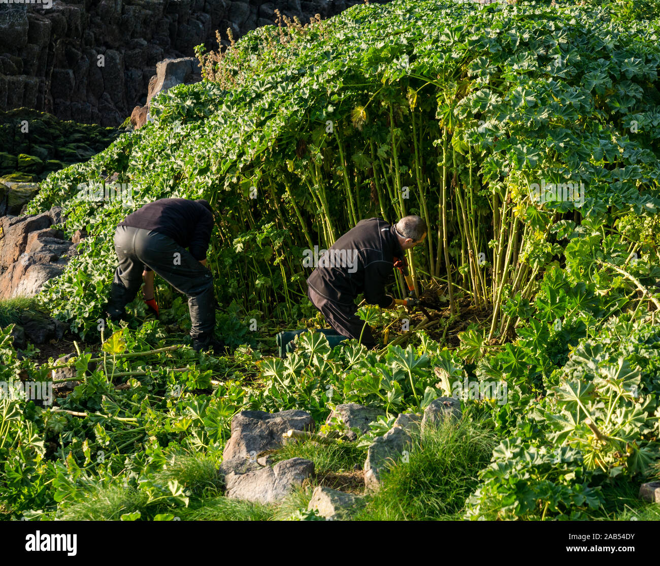 Seabird centre volunteers hi-res stock photography and images - Alamy