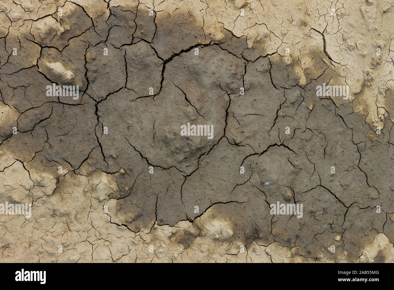 Dry cracked grey earth background, dirty texture Stock Photo - Alamy