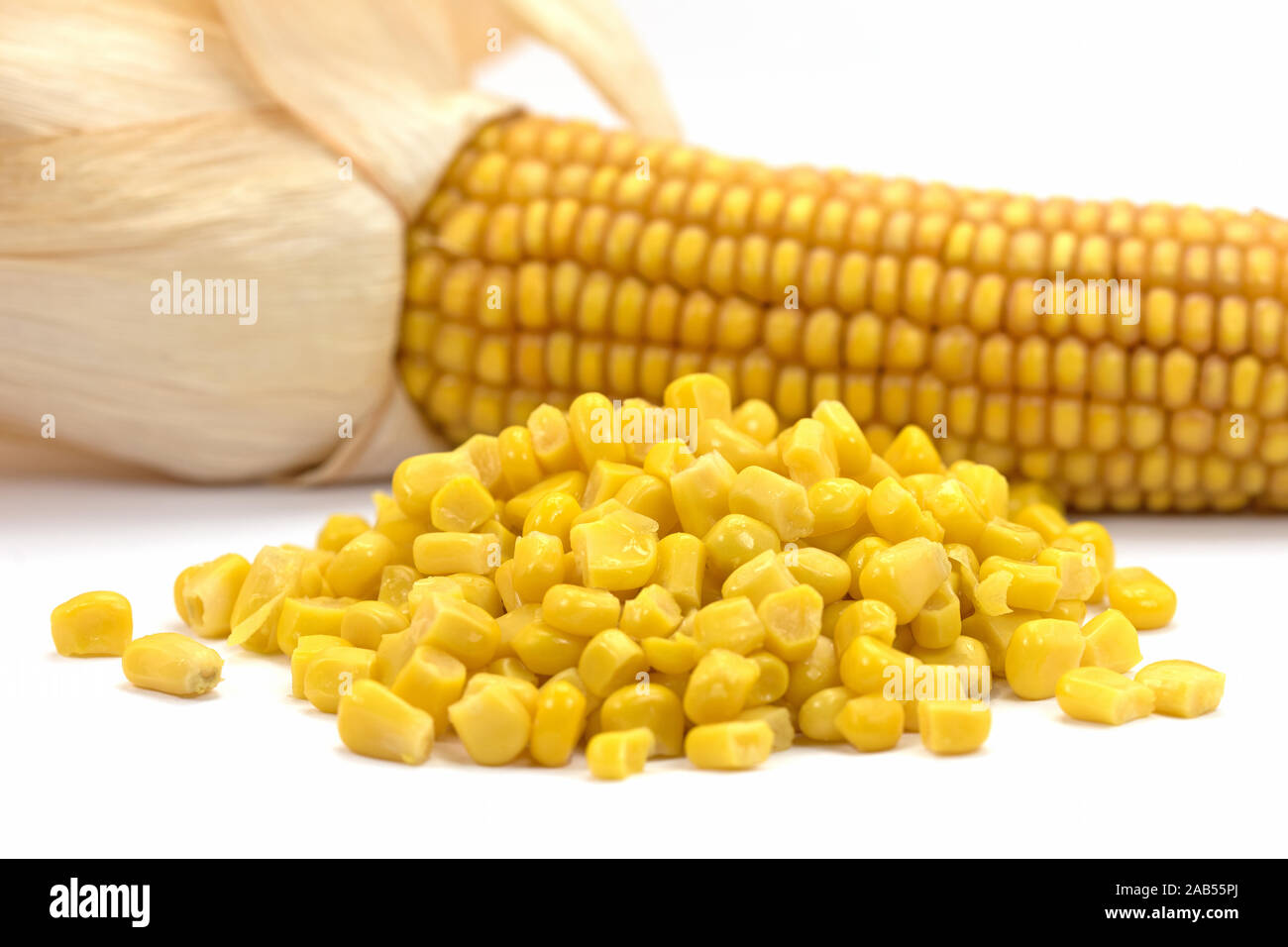 Corncobs and ripe corn grains in front of white background Stock Photo ...