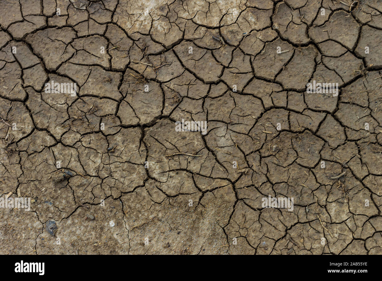 Dry cracked grey earth background, dirty texture Stock Photo - Alamy