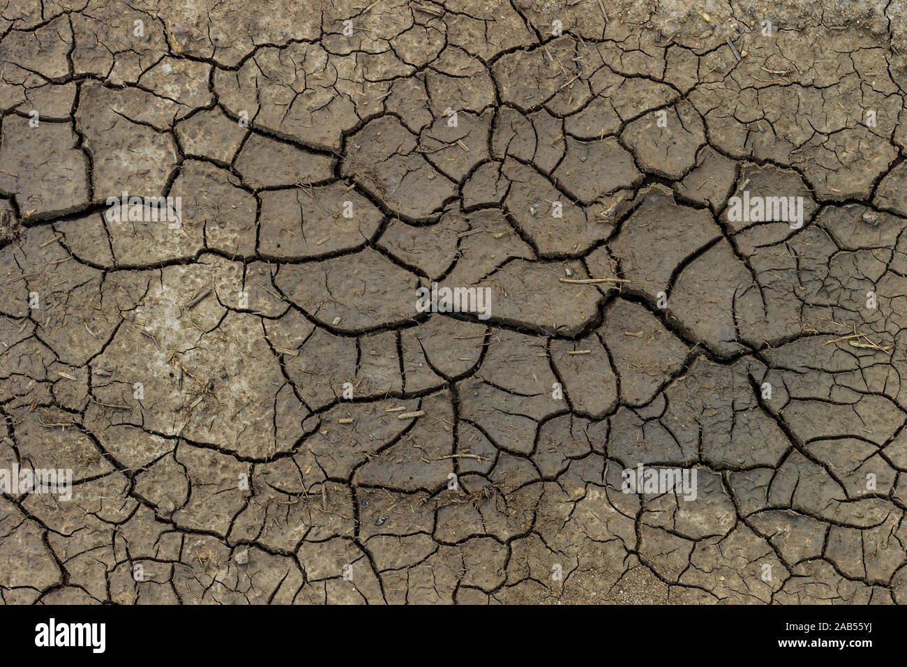 Dry cracked grey earth background, dirty texture Stock Photo - Alamy