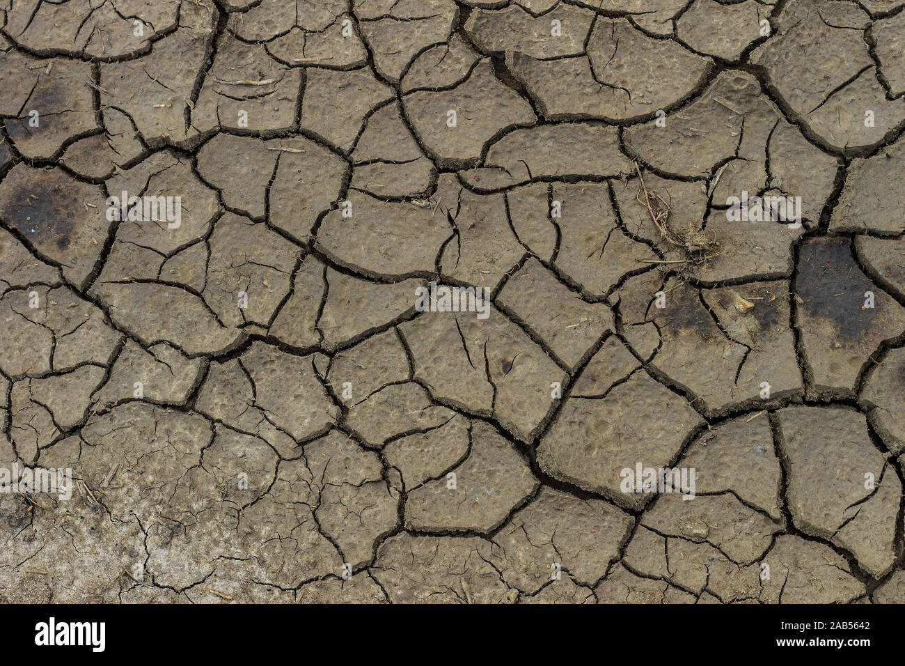 Dry cracked grey earth background, dirty texture Stock Photo - Alamy