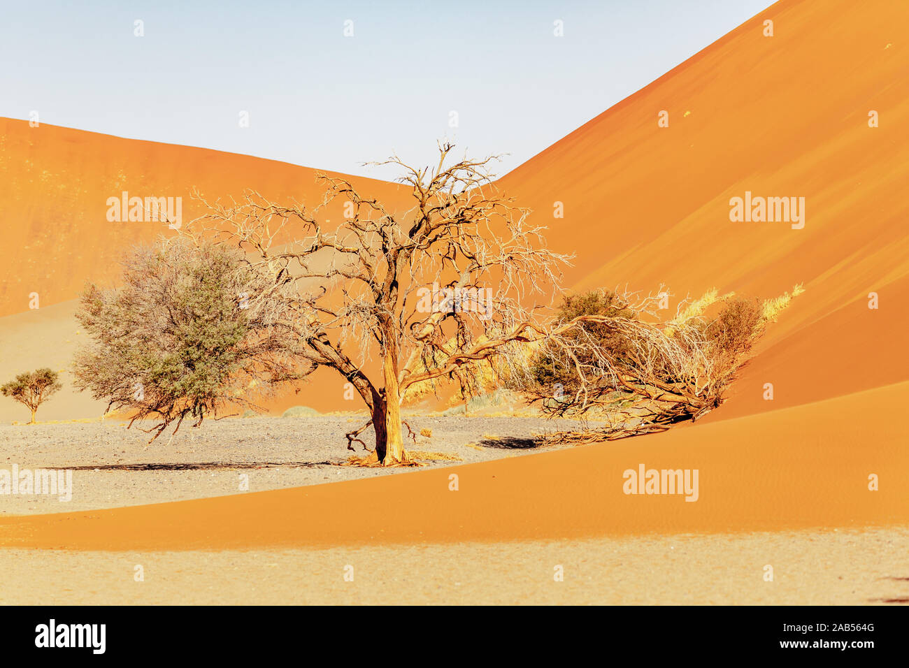 Sossusvlei and red sand dunes in the namib desert in Namibia, Africa ...