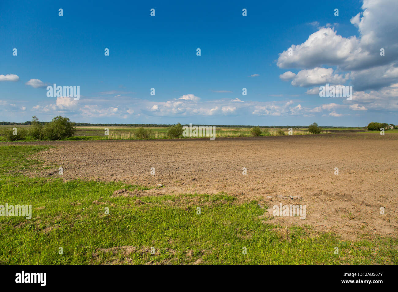 Umgebung von Murighiol Stock Photo - Alamy