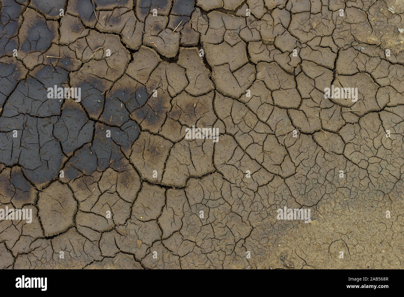 Dry cracked grey earth background, dirty texture Stock Photo - Alamy