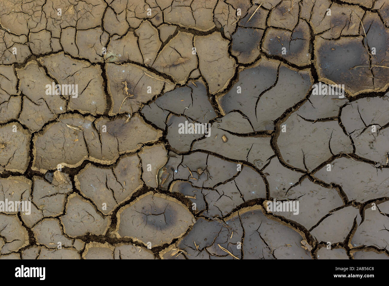 Dry cracked grey earth background, dirty texture Stock Photo - Alamy