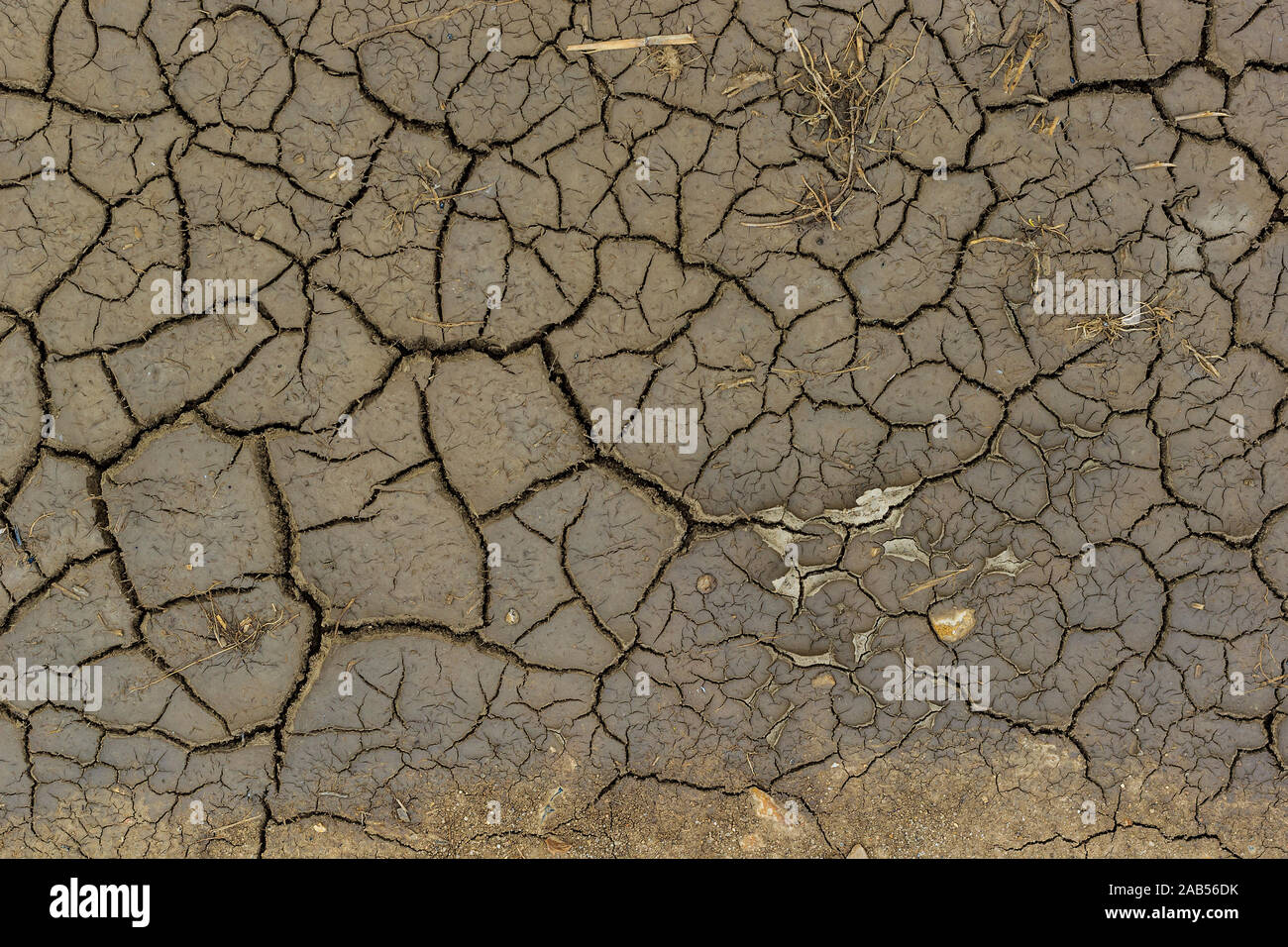 Dry cracked grey earth background, dirty texture Stock Photo - Alamy