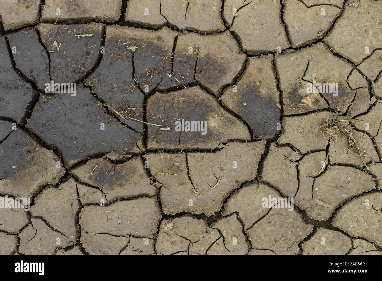 Dry cracked grey earth background, dirty texture Stock Photo - Alamy