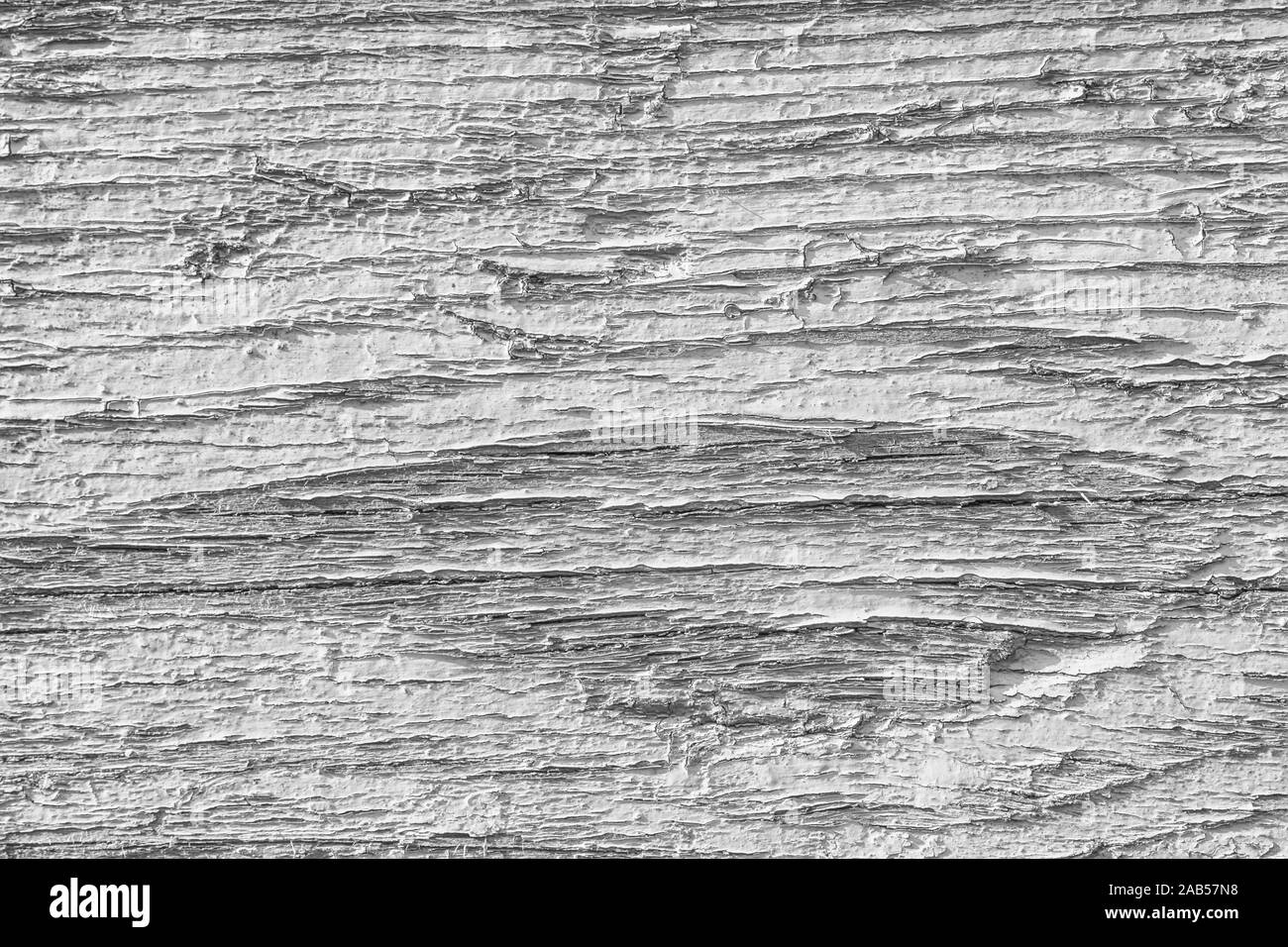 Monochrome texture of a board with peeling paint. Abstract background ...