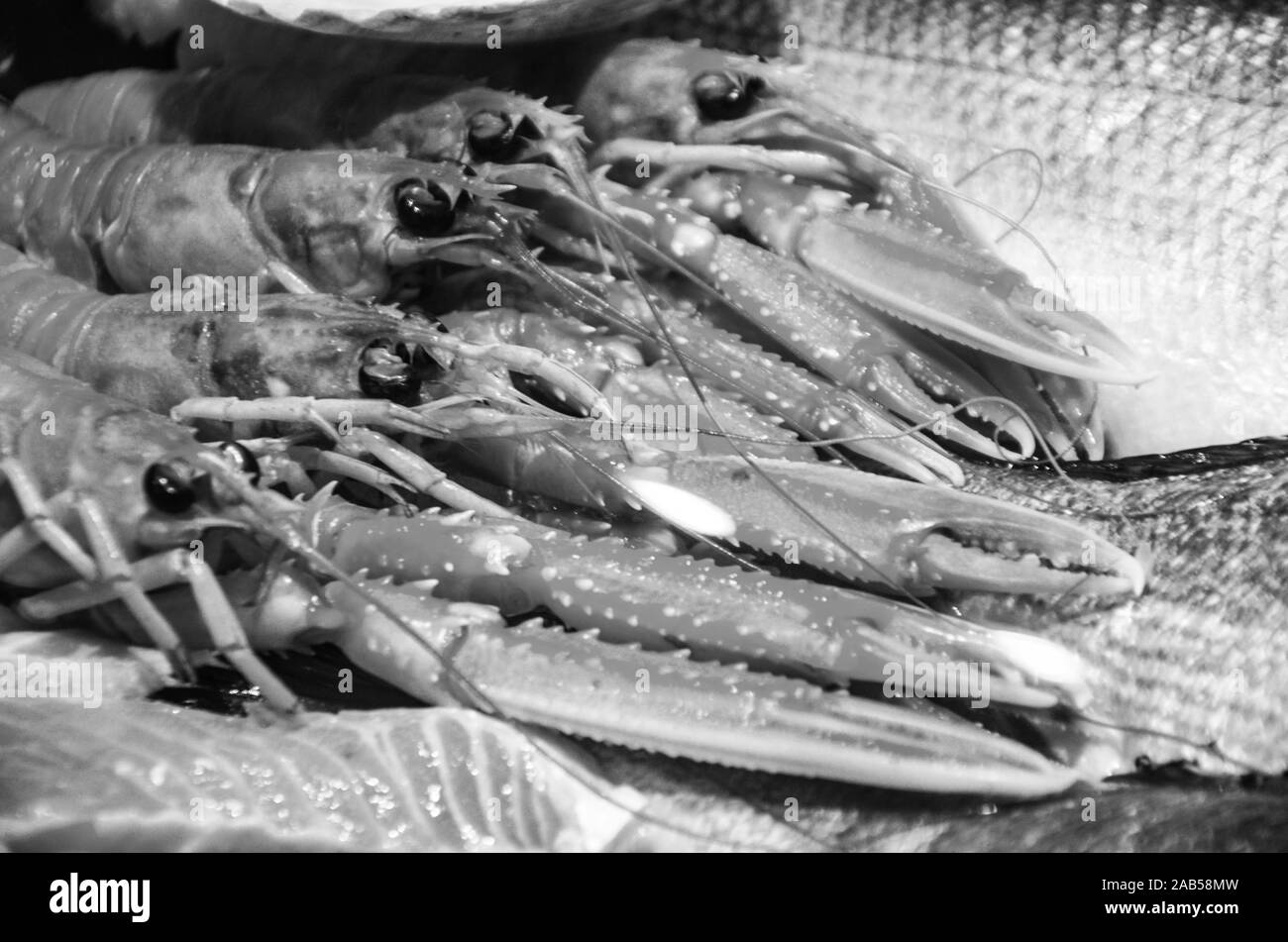 Raw fish fresh salmon Black and White Stock Photos & Images - Alamy