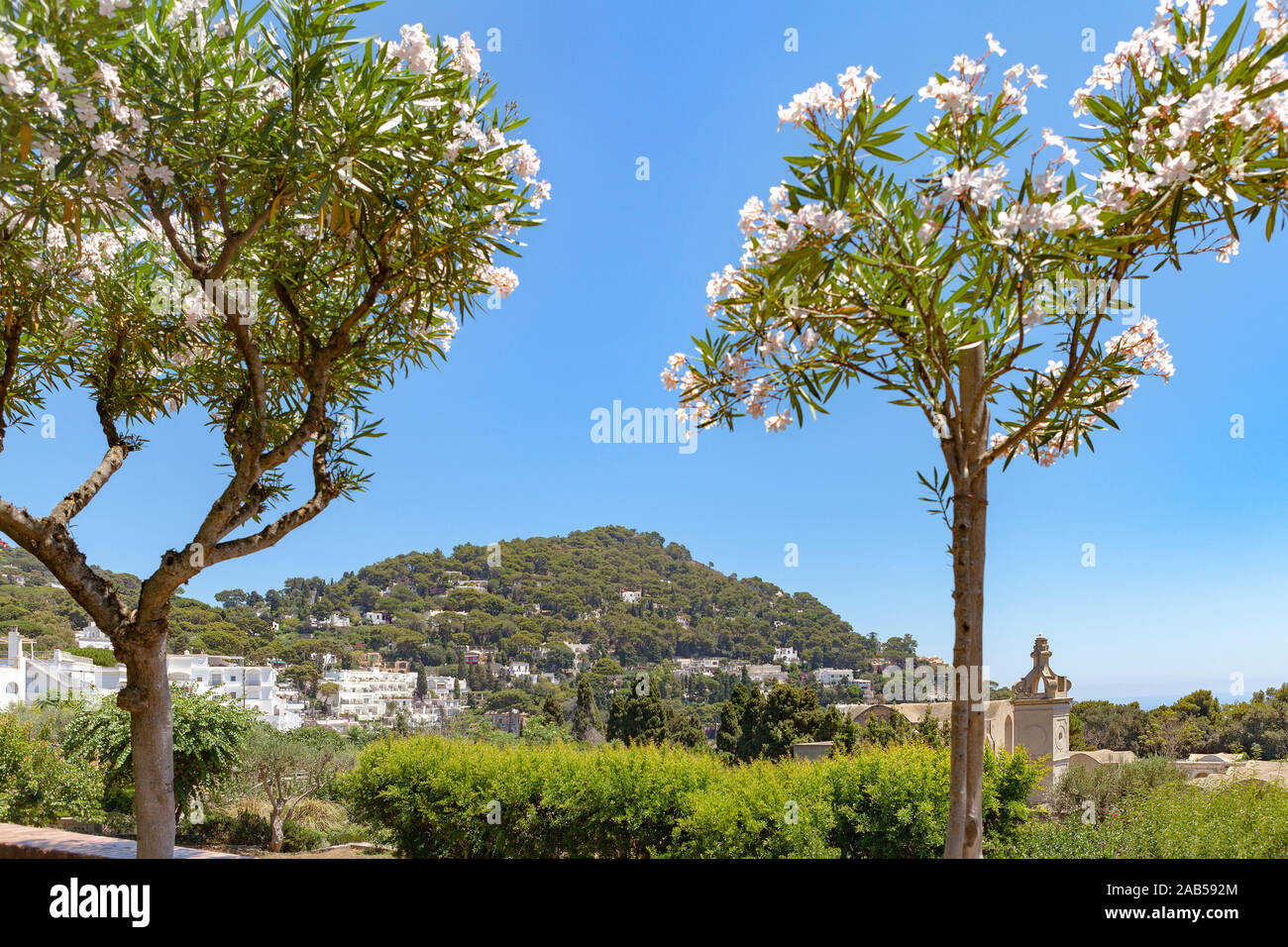 Capri gracie fields hi-res stock photography and images - Alamy