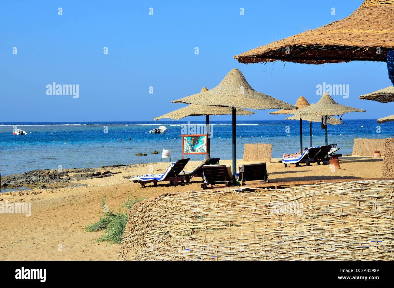 Green turtles red sea egypt hi-res stock photography and images - Alamy