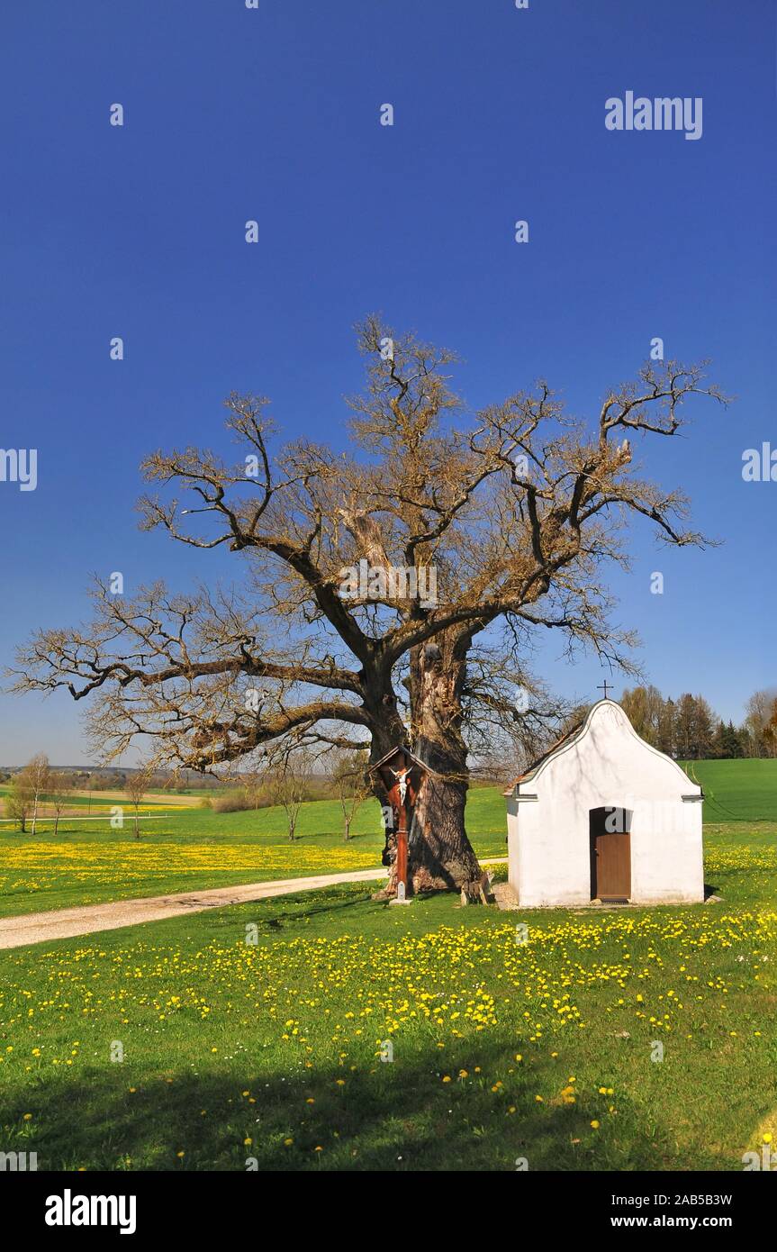 Haselbach bavaria hi-res stock photography and images - Alamy