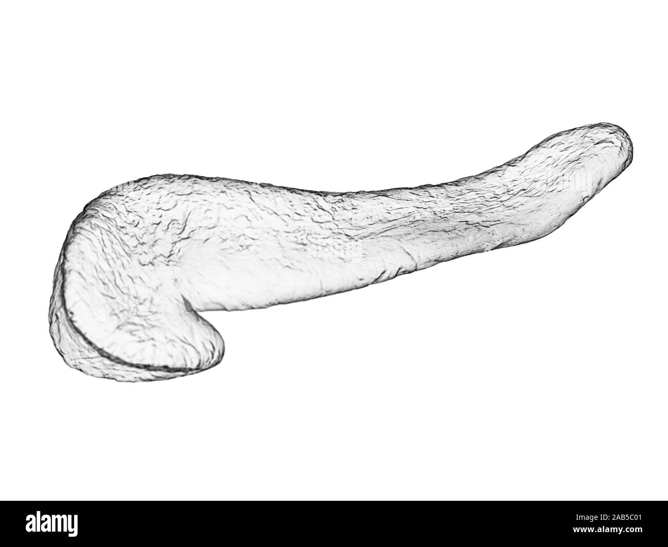 Pancreas Black and White Stock Photos & Images - Alamy