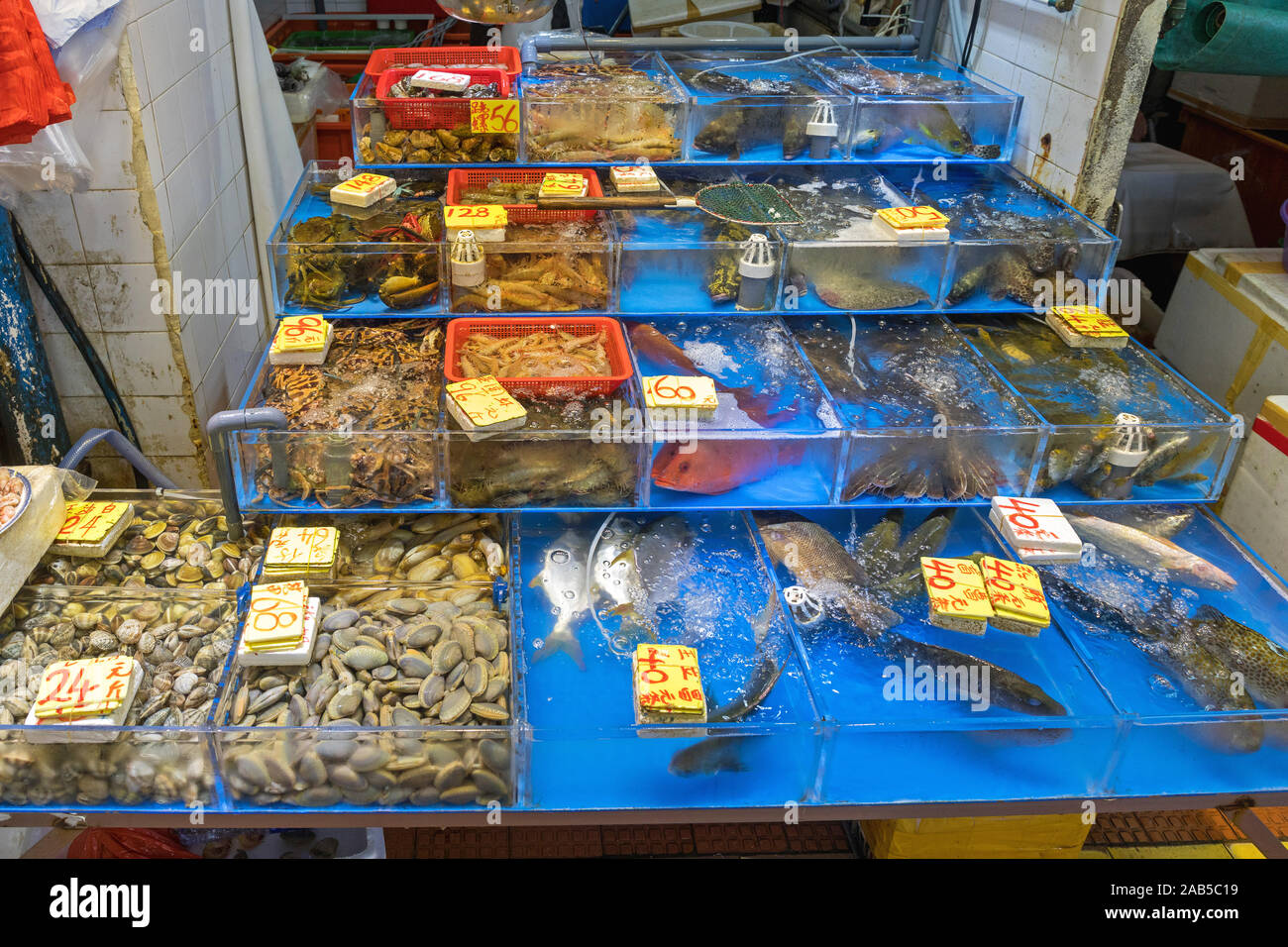 Live seafood in tanks hi-res stock photography and images - Alamy