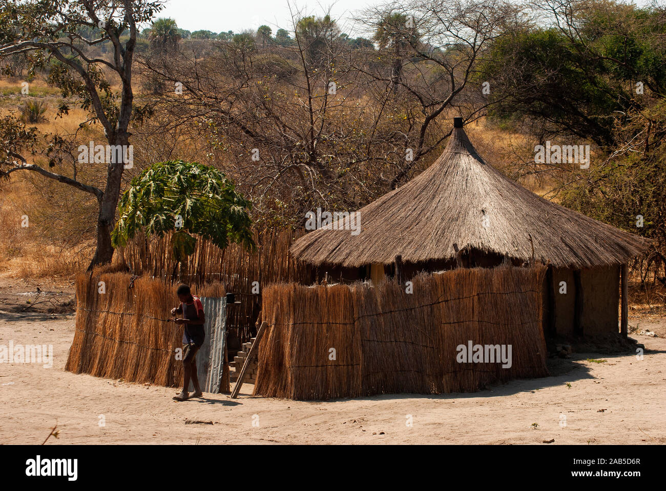 Typical construction at Caprivi Strip, all the houses roof and wall ...