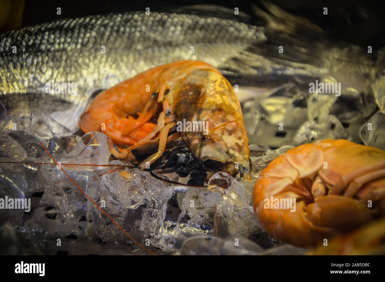 fresh fish & seafood close up view Stock Photo - Alamy