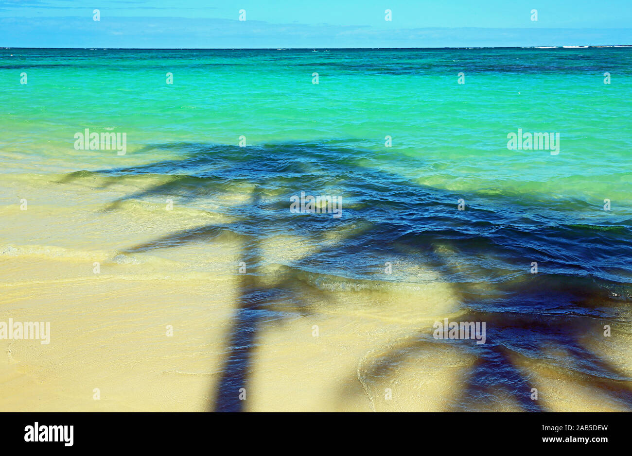 Shadow and palm trees - Oahu, Hawaii Stock Photo - Alamy