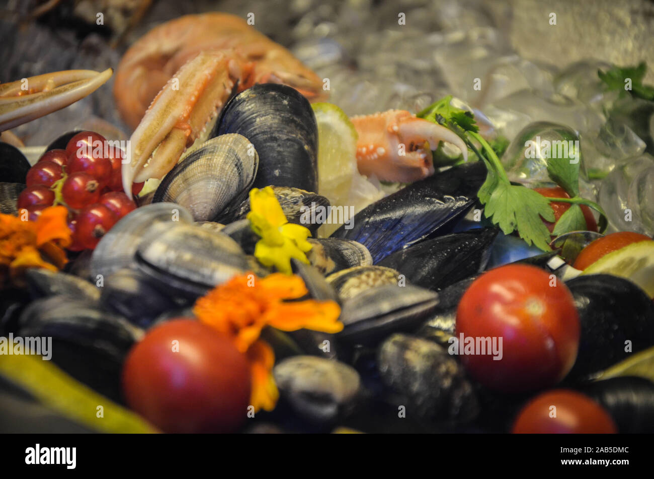 fresh fish & seafood close up view Stock Photo - Alamy