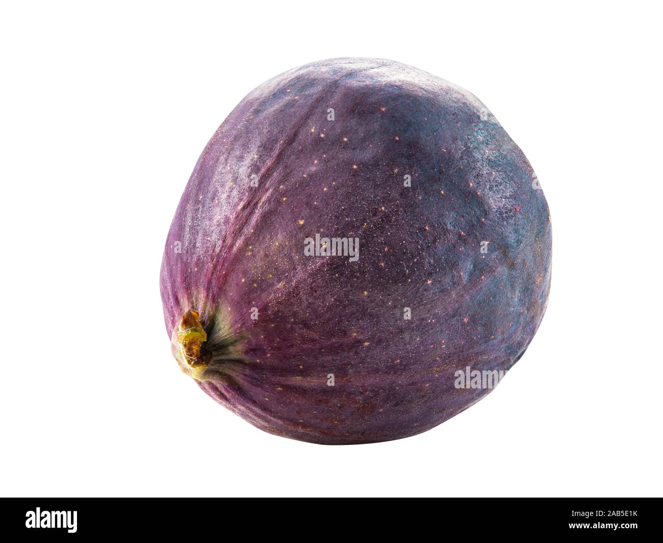 Purple fig isolated on white with copy space for text or images. Soft ...