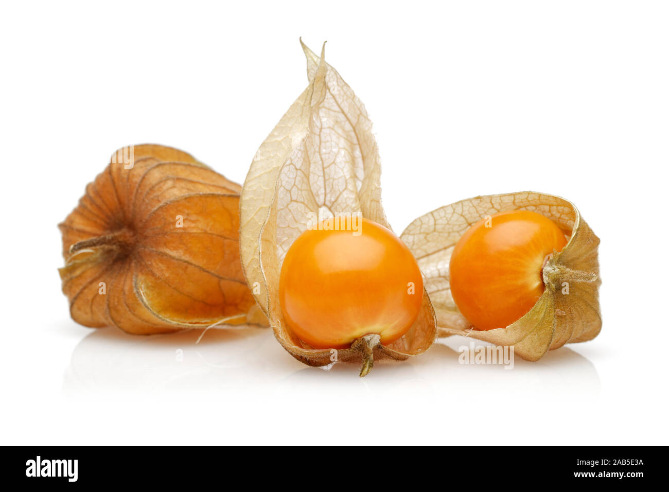 Physalis fruit or golden berry isolated on white background Stock Photo ...