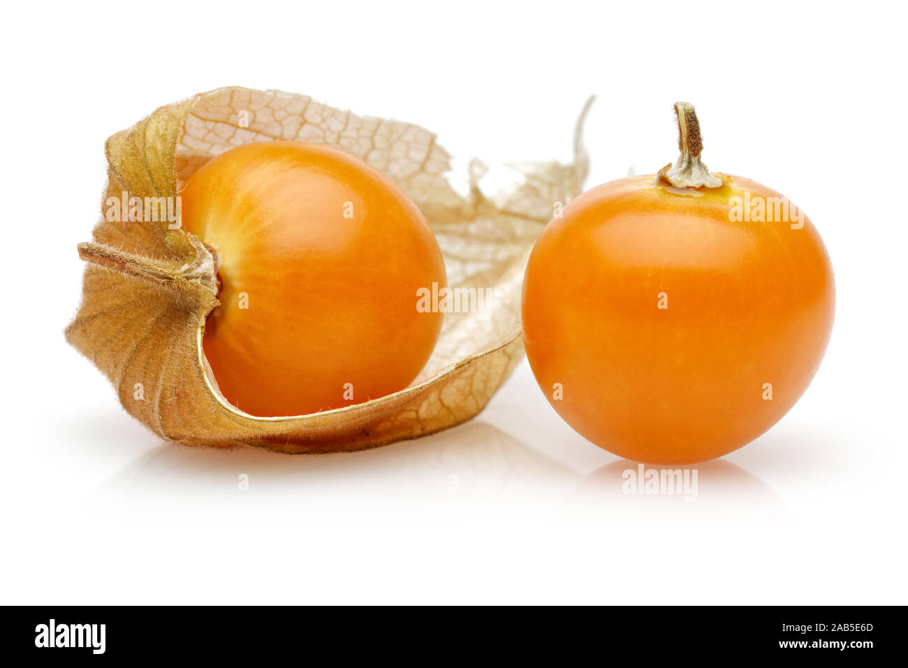 Physalis fruit or golden berry isolated on white background Stock Photo ...