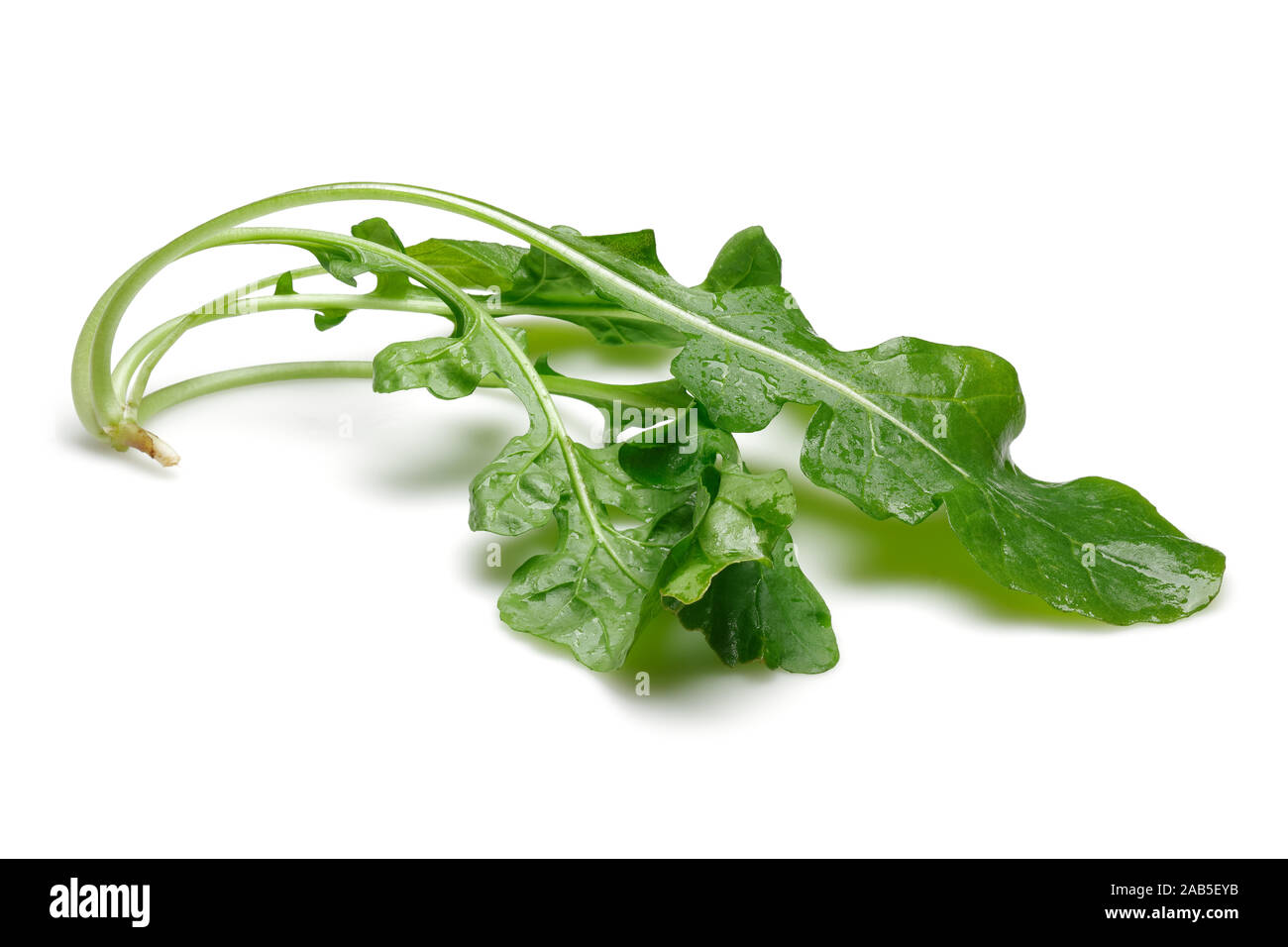 Bunch of fresh rucola isolated on white background Stock Photo - Alamy