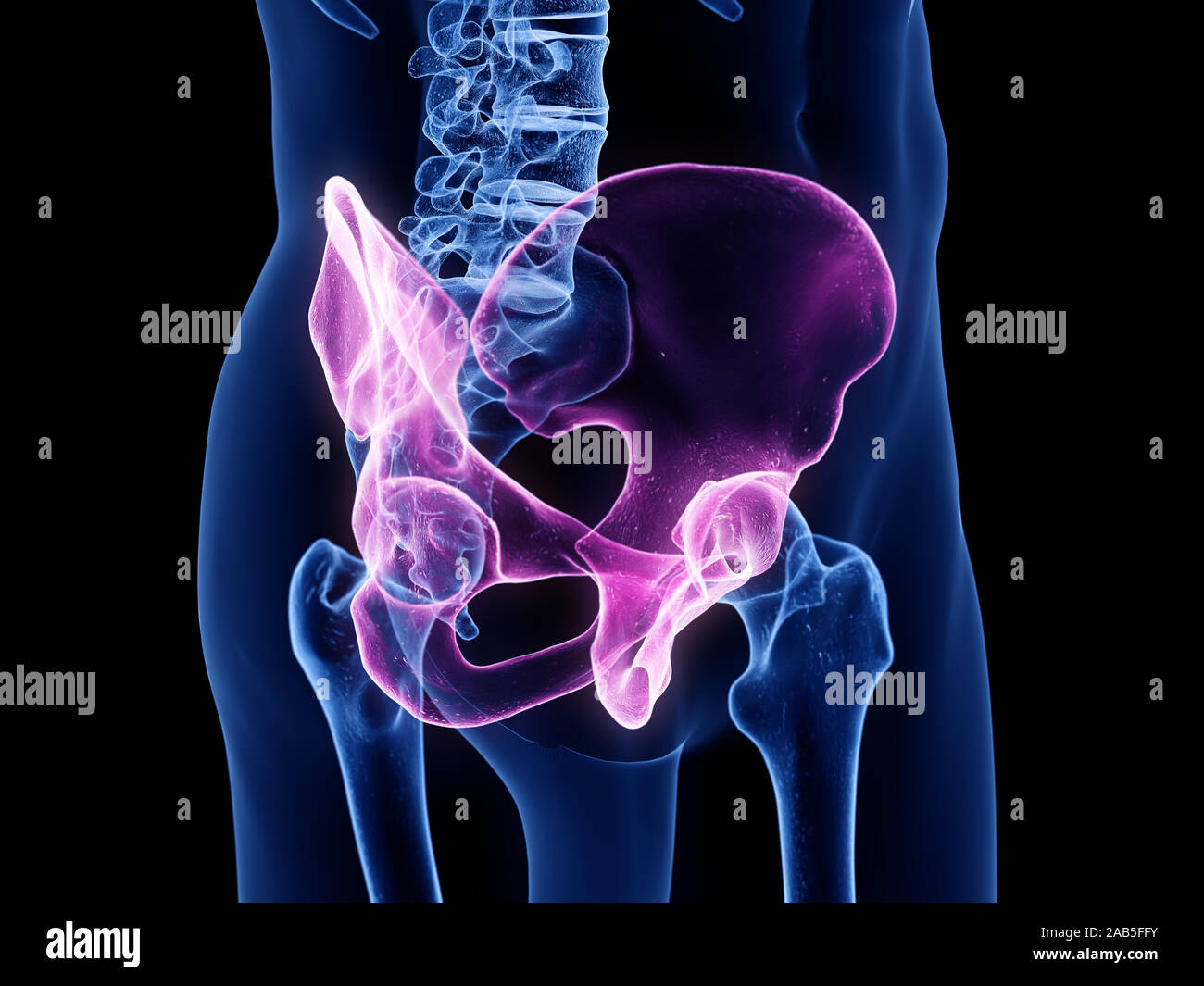 3d rendered medically accurate illustration of the ilium Stock Photo ...