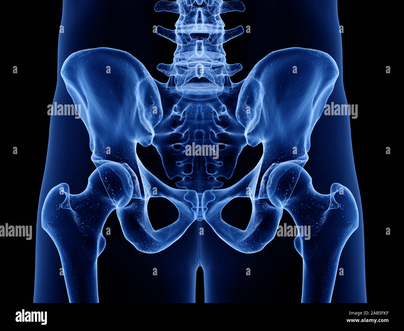 3d rendered medically accurate illustration of the skeletal hip Stock ...