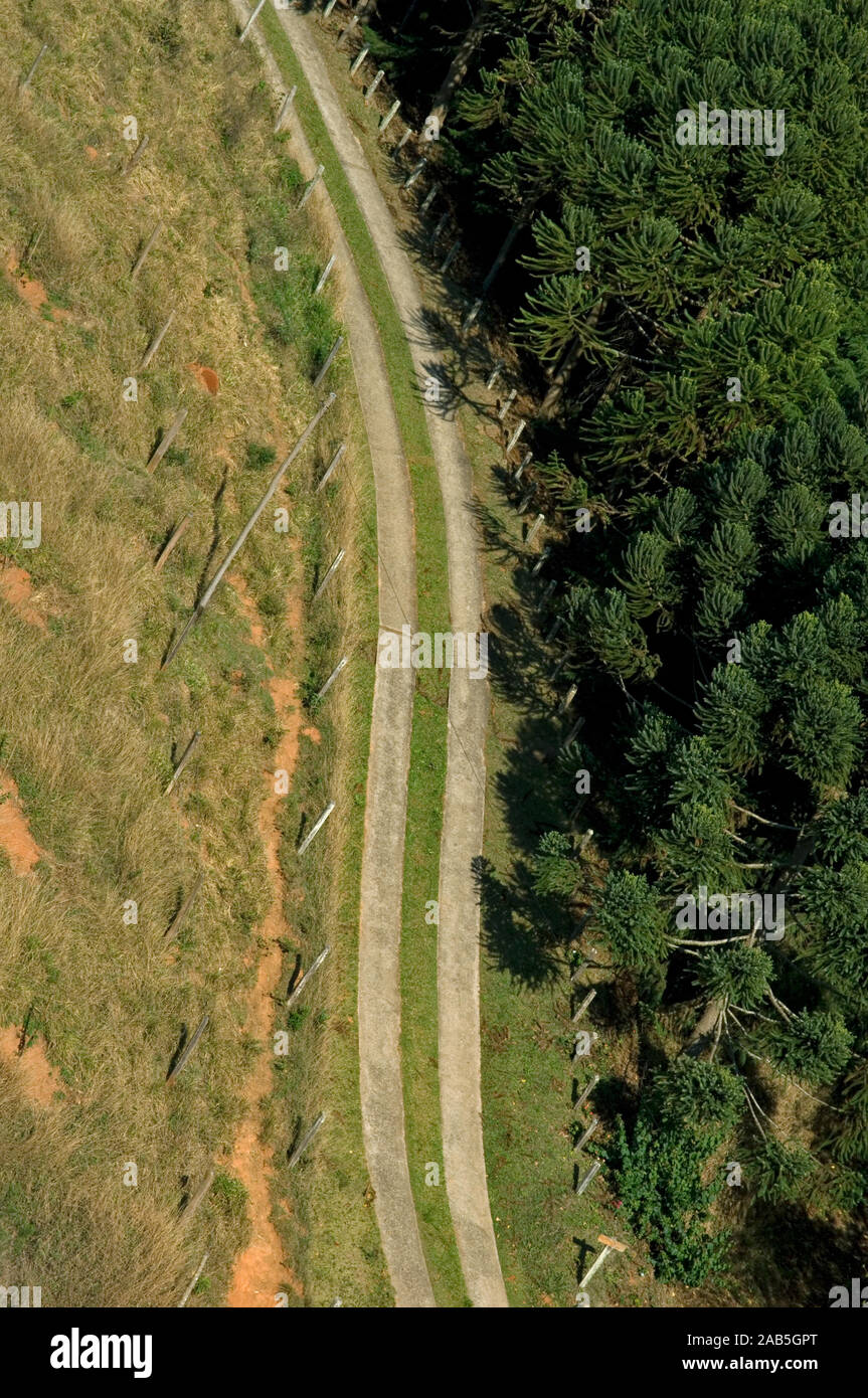Sao paulo people street vertical hi-res stock photography and images ...