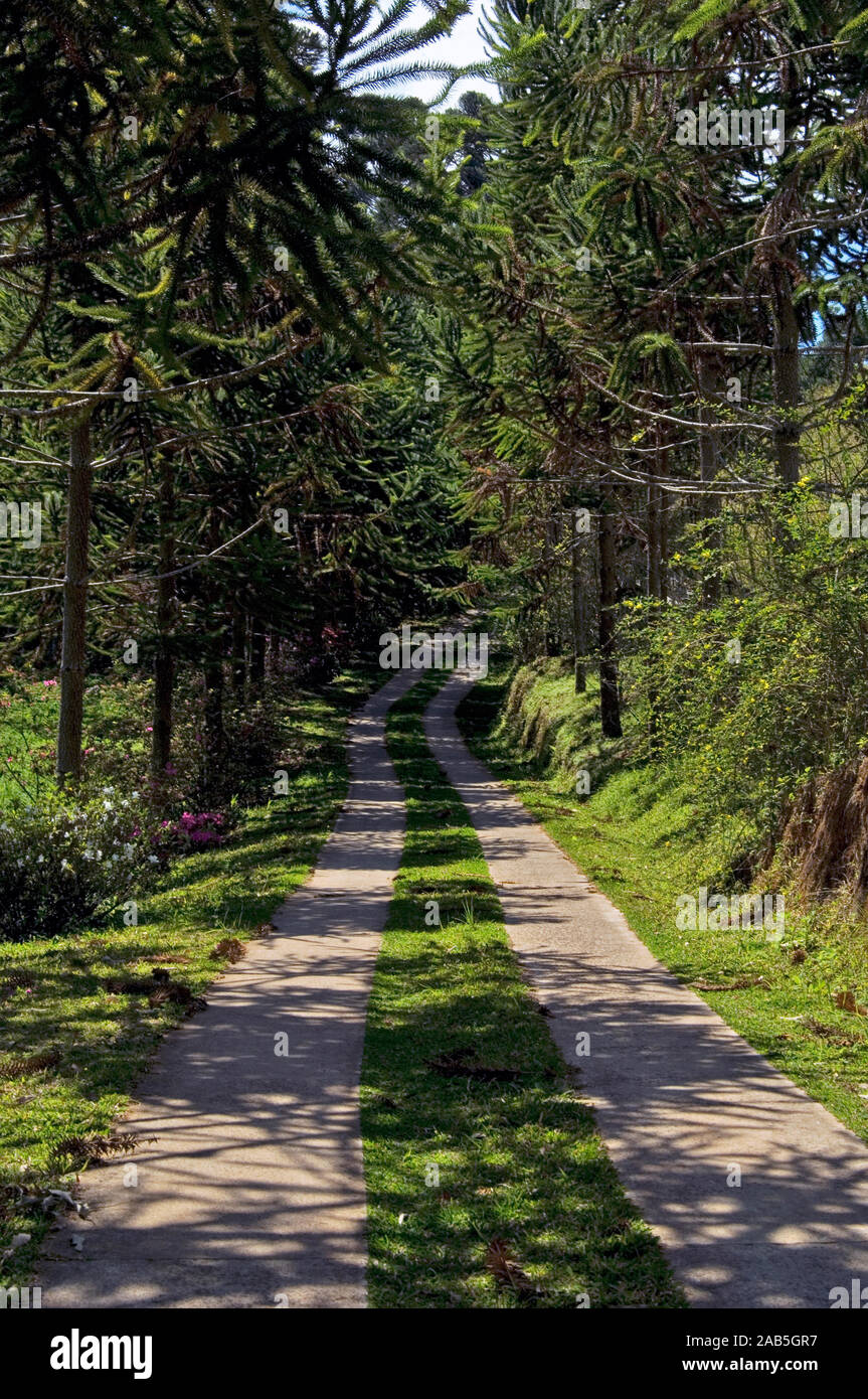 Street, Santo Antônio do Pinhal, São Paulo, Brazil Stock Photo - Alamy