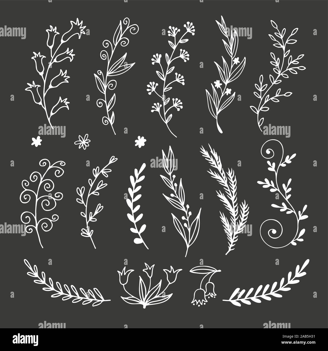 Floral Doodle Set In Sketch Style Vector Hand Drawn Botanical