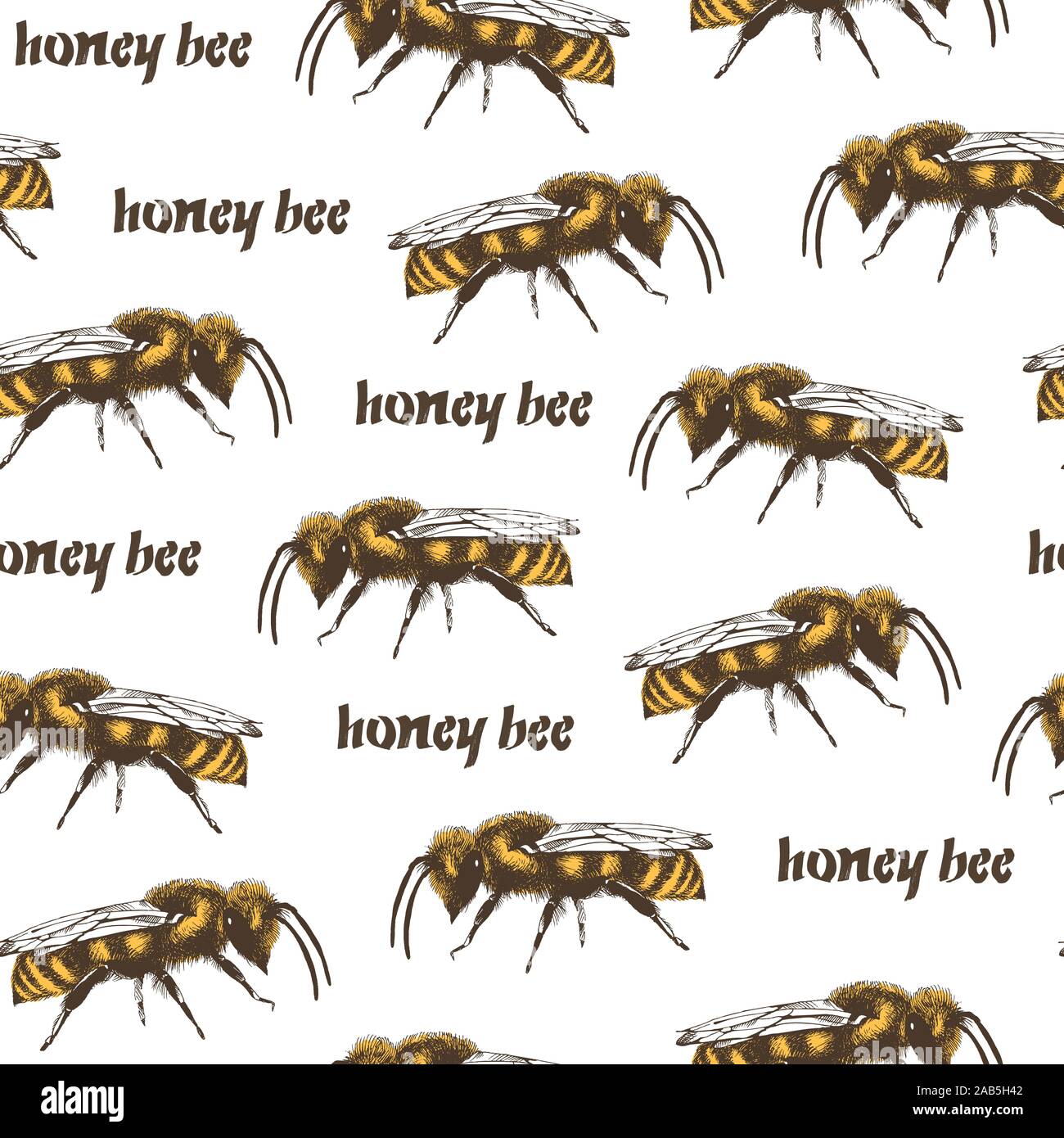 Honey bee color vector seamless pattern in engraving style on white ...