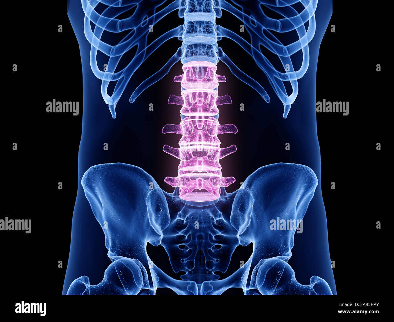 3d rendered medically accurate illustration of the lumbar spine Stock ...