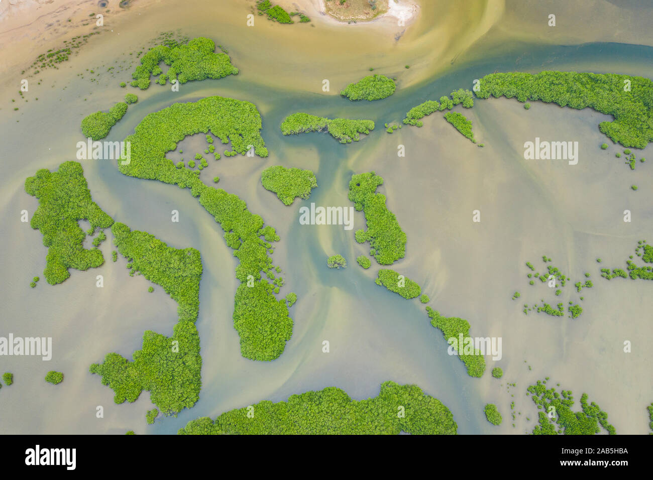 Aerial view of mangrove forest in the Saloum Delta National Park, Joal ...
