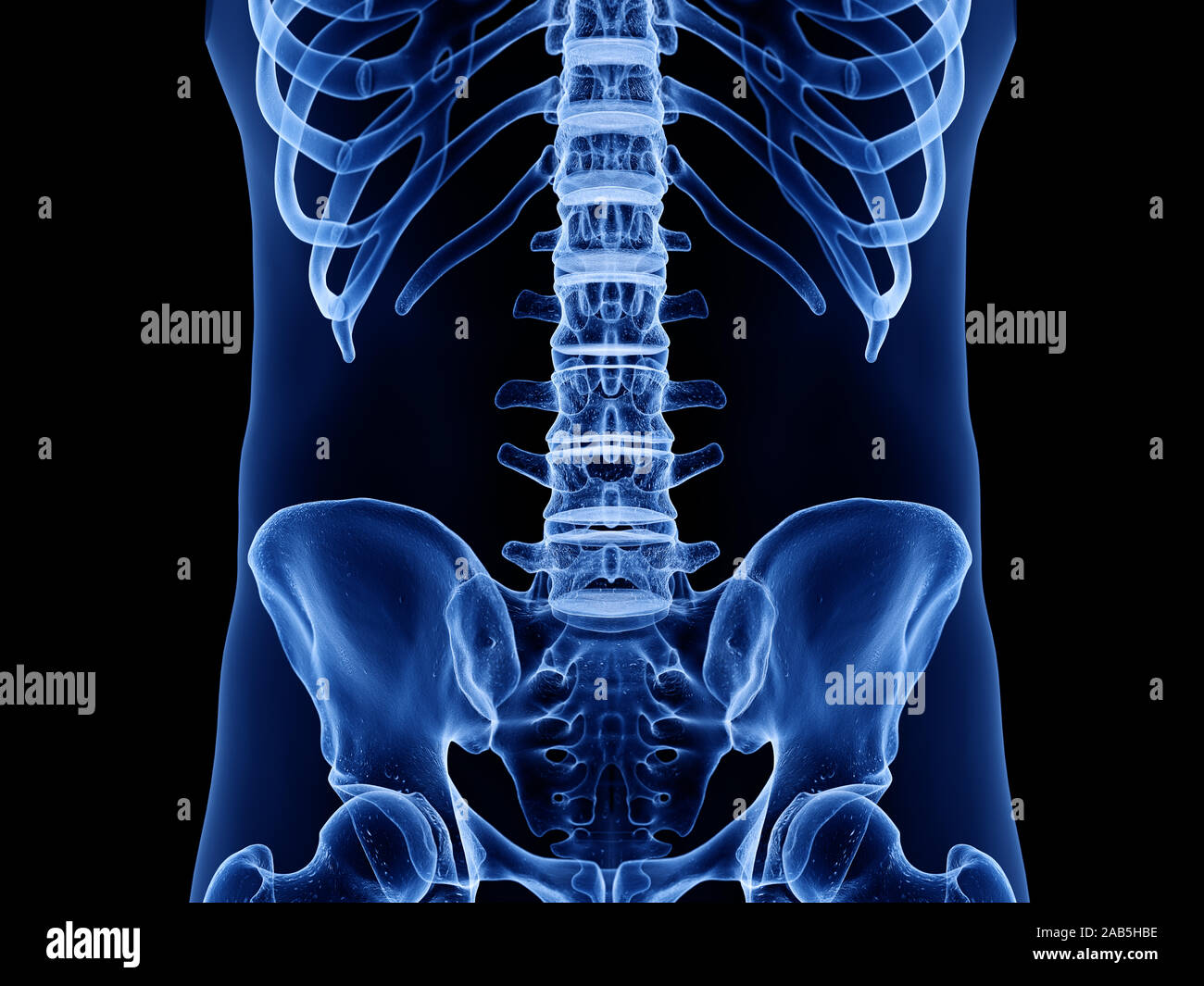 3d rendered medically accurate illustration of the lumbar spine Stock ...