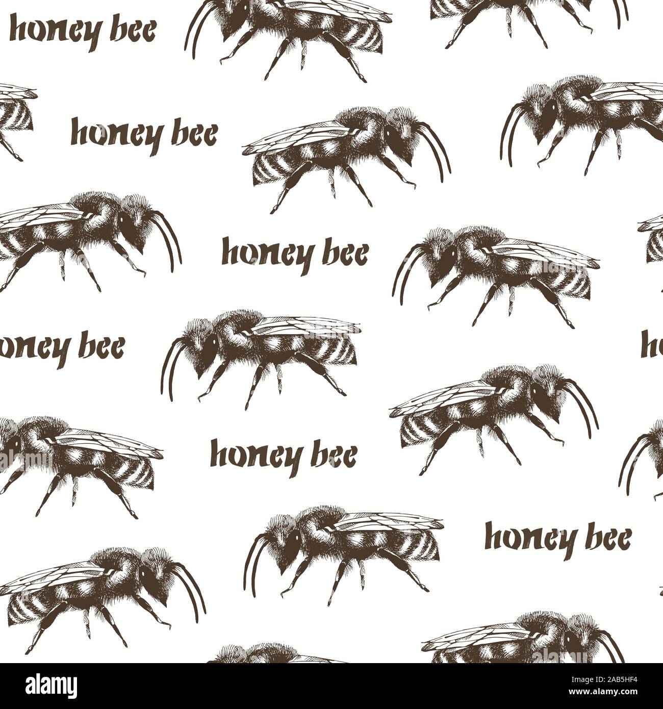 Bee illustration antique hi-res stock photography and images - Alamy