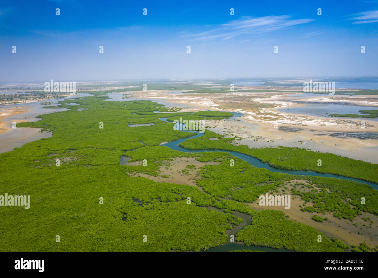 Aerial view of mangrove forest in the Saloum Delta National Park, Joal ...