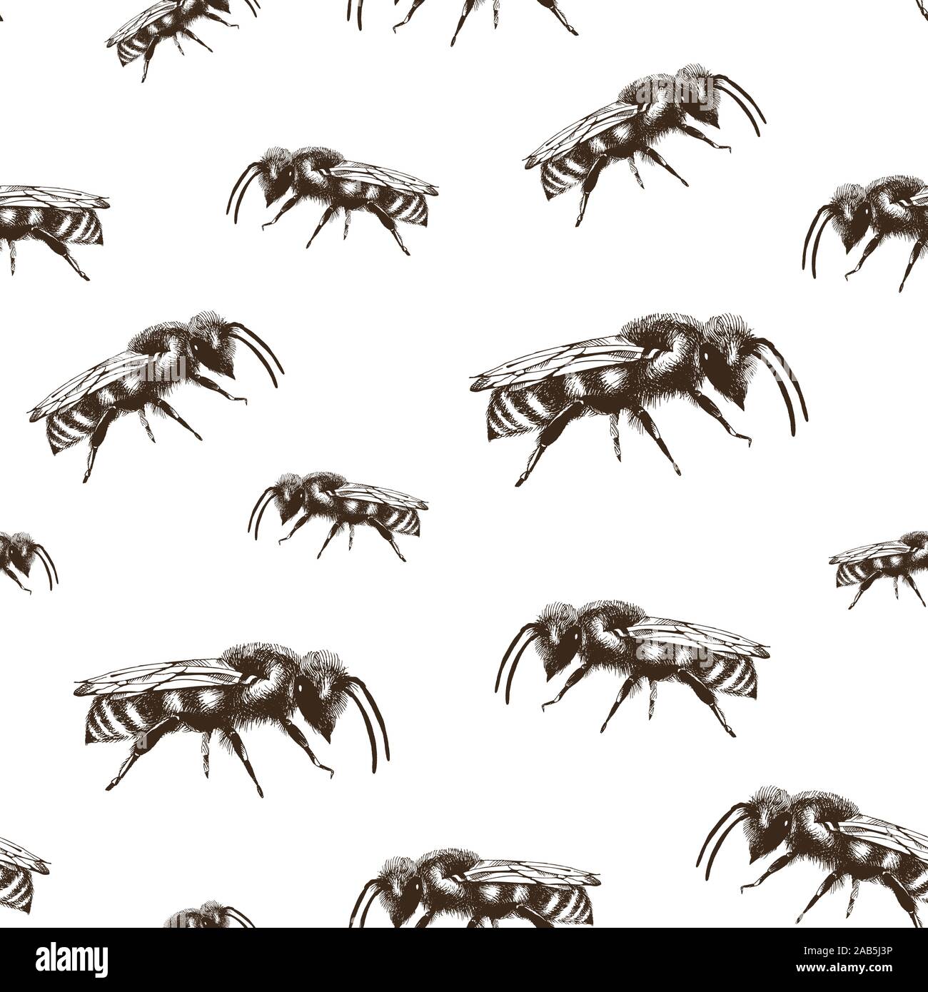 Honey bee color vector seamless pattern in engraving style isolated on ...