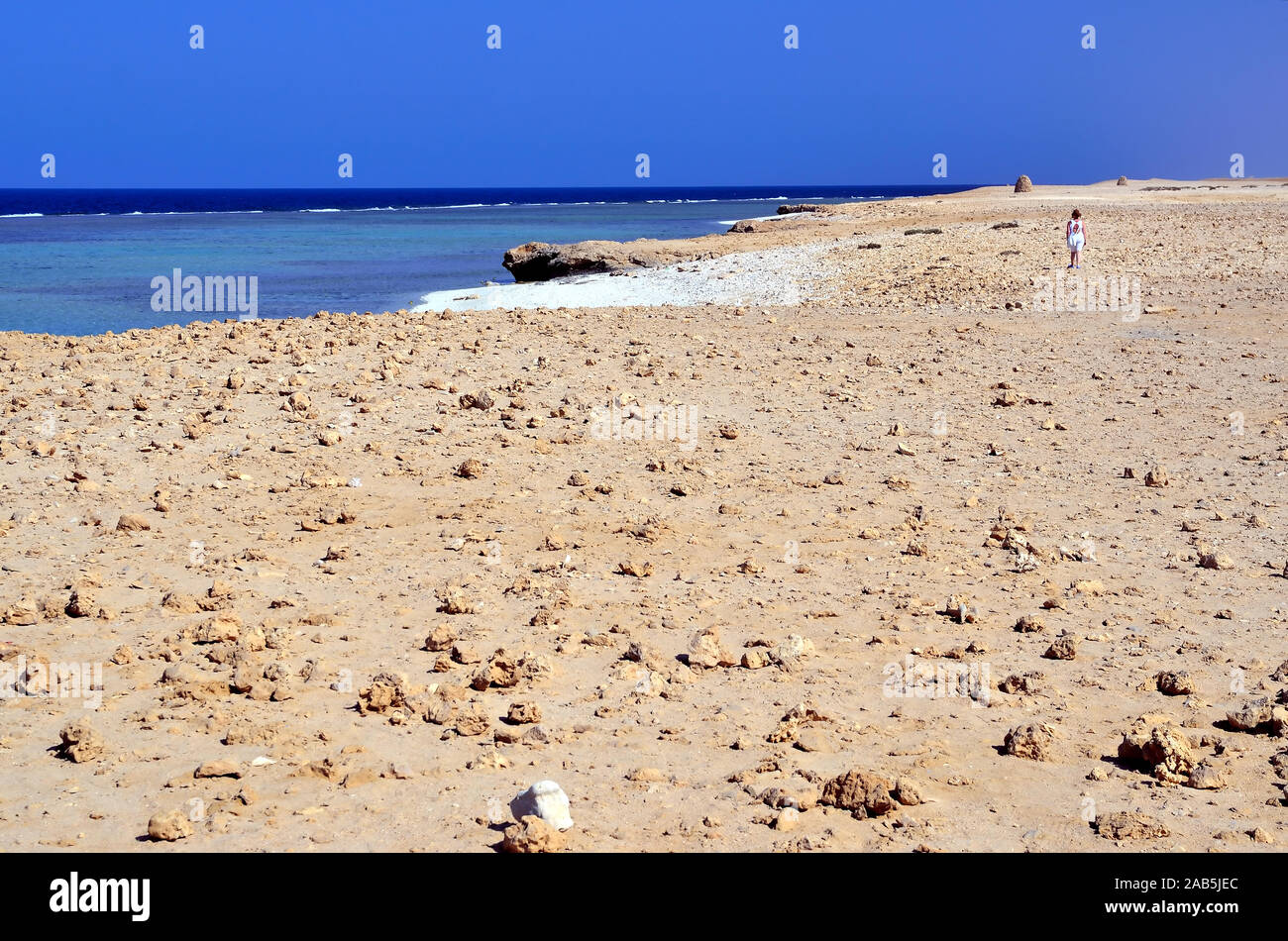 Egypt red sea marsa alam beach hi-res stock photography and images - Alamy