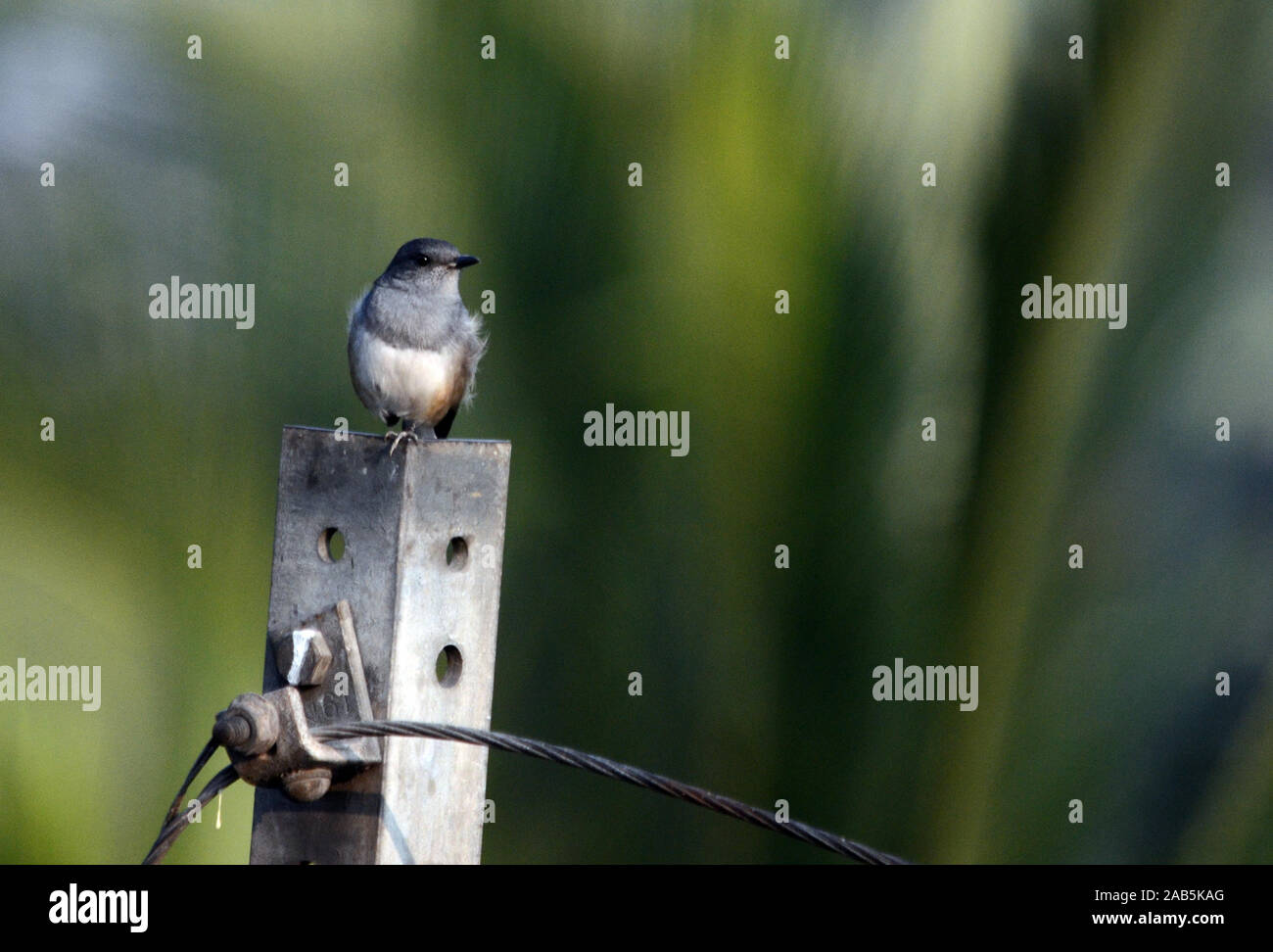 Agrabad hi-res stock photography and images - Alamy