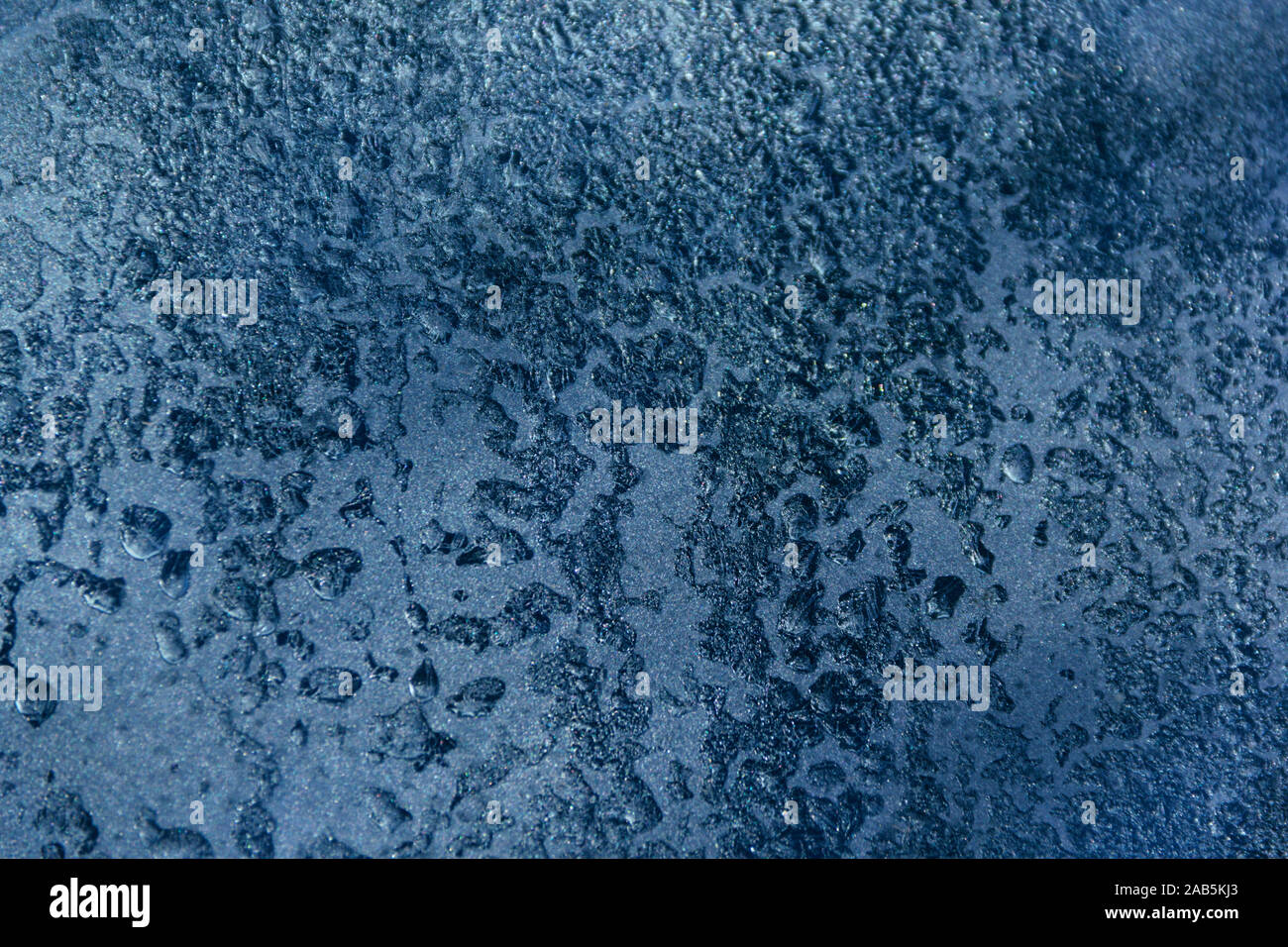 Beautiful frozen drops hi-res stock photography and images - Alamy
