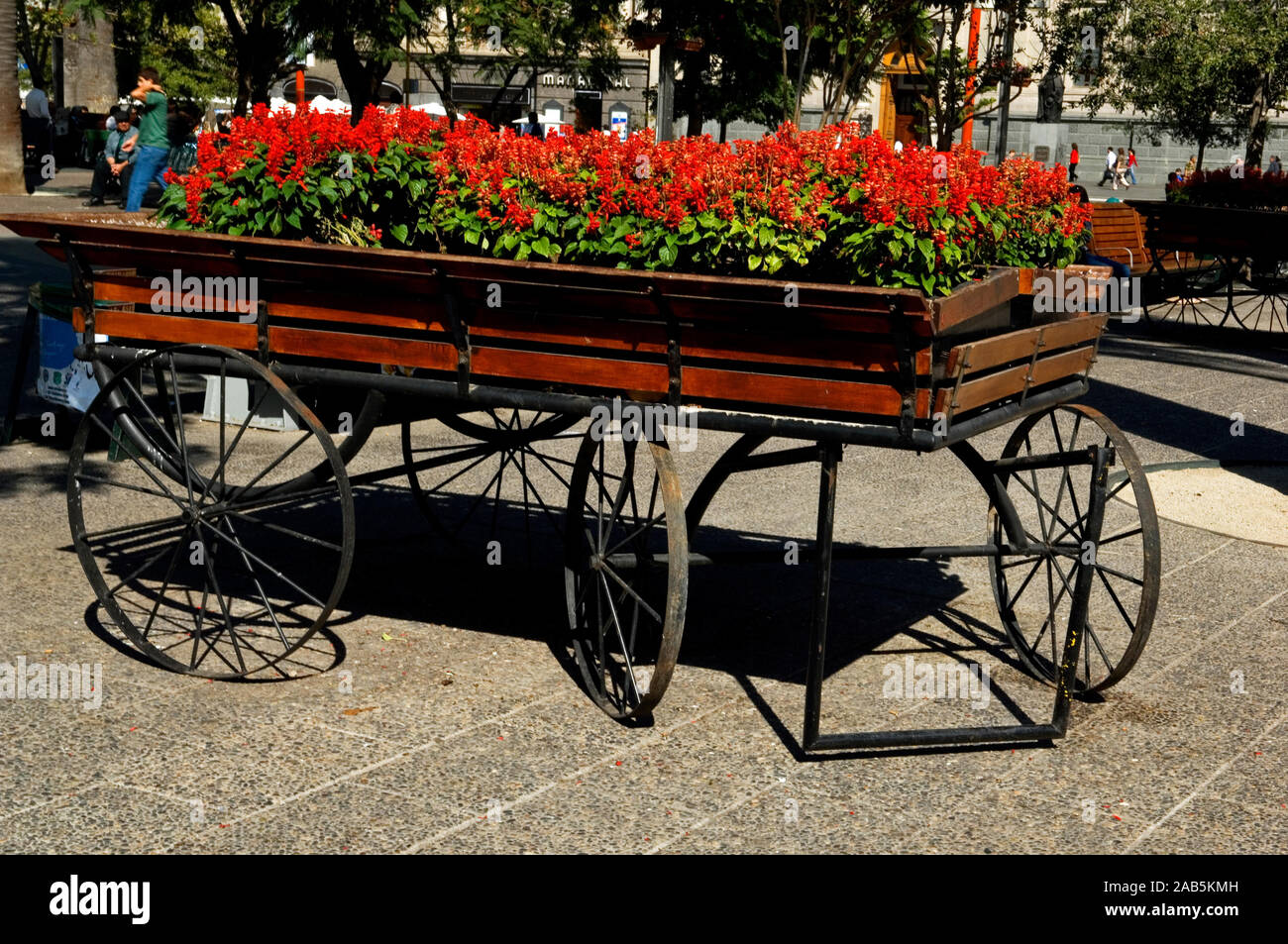 Wagon spring flowers hi-res stock photography and images - Alamy