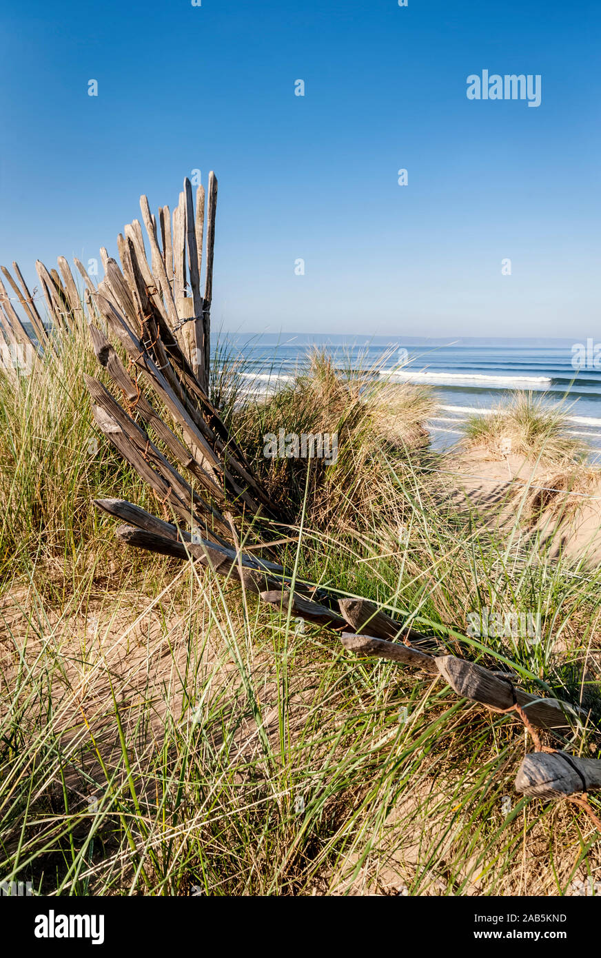 Sand Dunes at Northam Burrows.North Devon.UK Stock Photo - Alamy