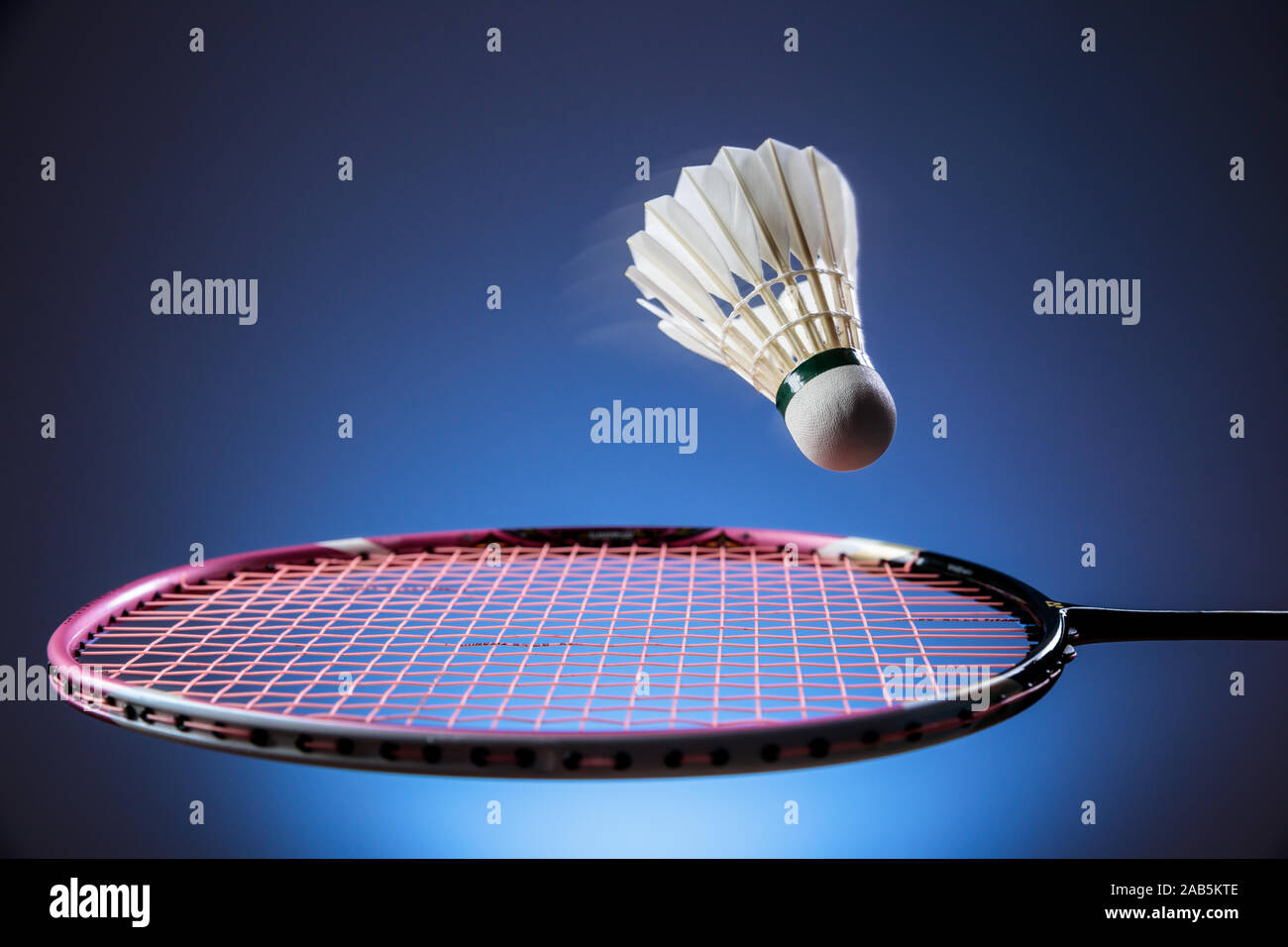 badminton racket and shuttlecock closeup Stock Photo - Alamy
