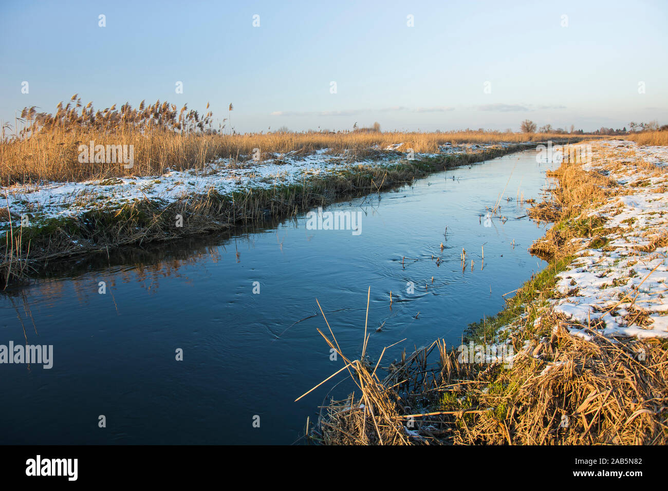 Plants on river banks hi-res stock photography and images - Alamy