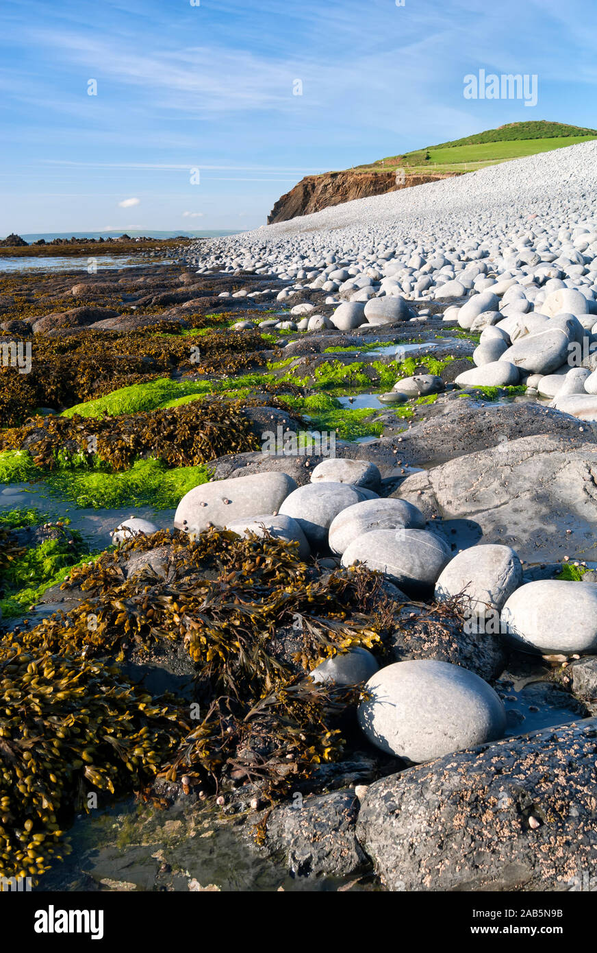 Abbotsham cliffs hi-res stock photography and images - Alamy
