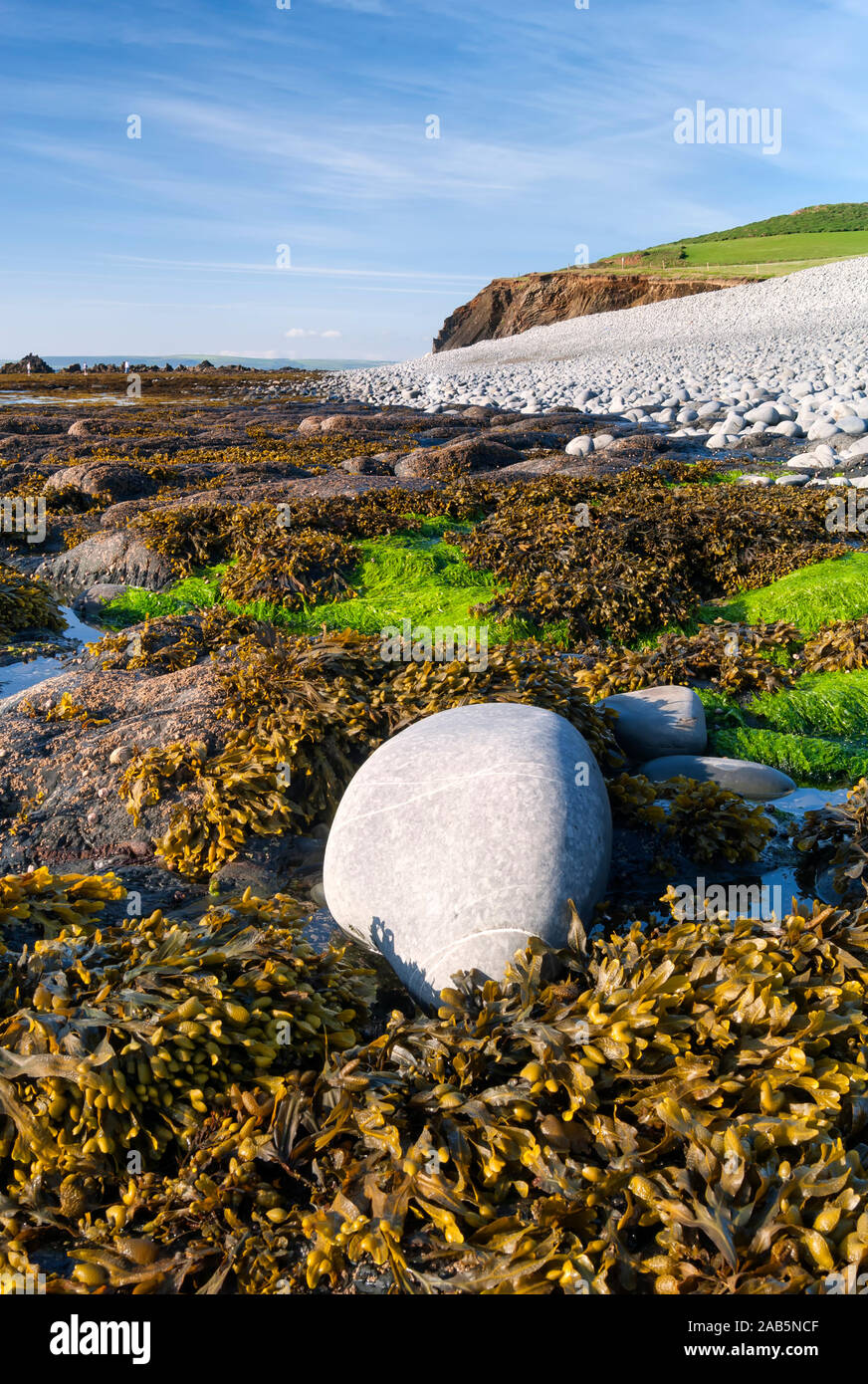 Abbotsham Cliffs, Cornborough and Greencliff, North Devon Uk Stock ...