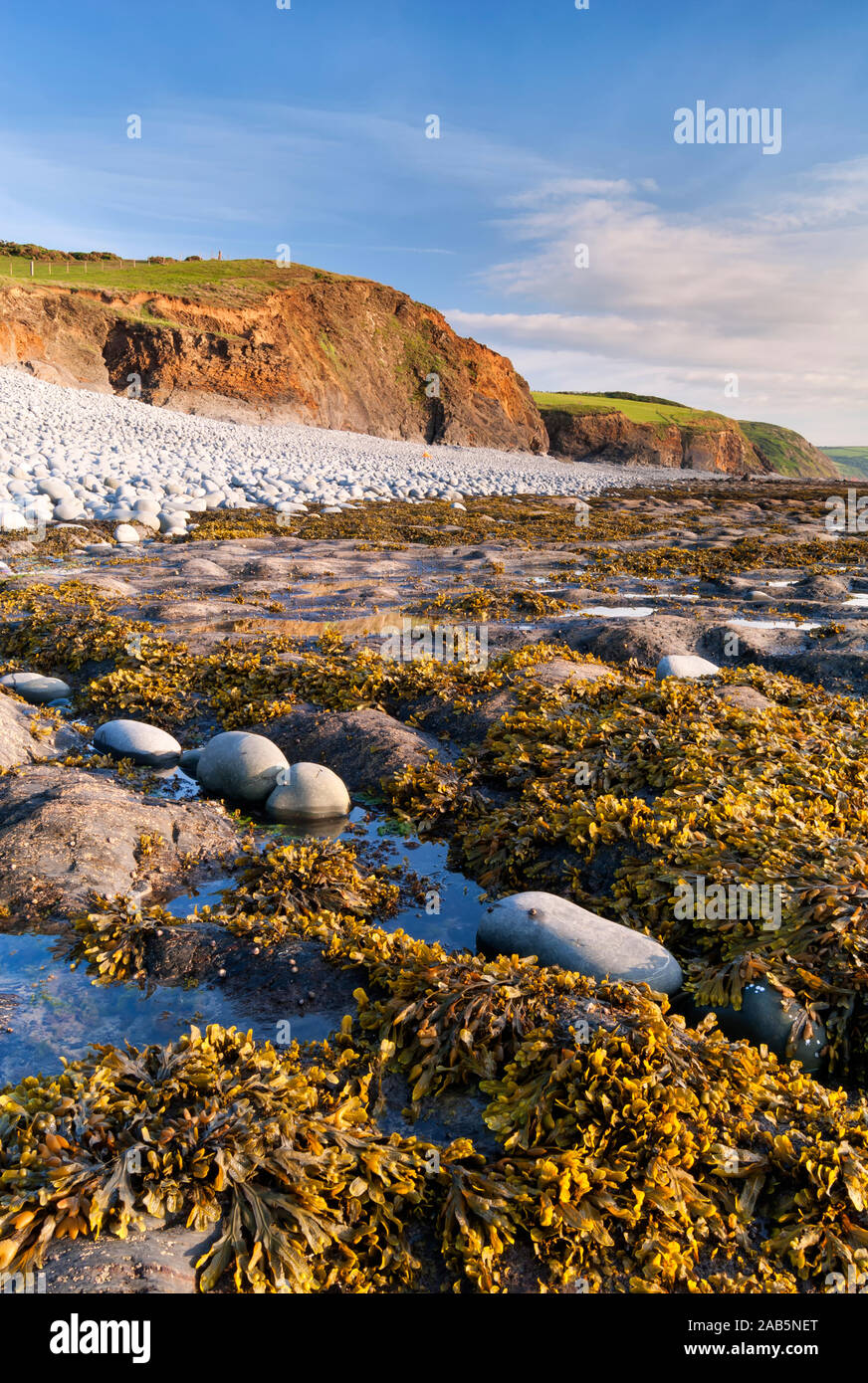 Abbotsham Cliff, Cornborough and Greencliff, North Devon, Uk Stock ...